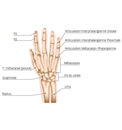 Orthèse de doigts DigiForm Donjoy DJO - Medical Domicile